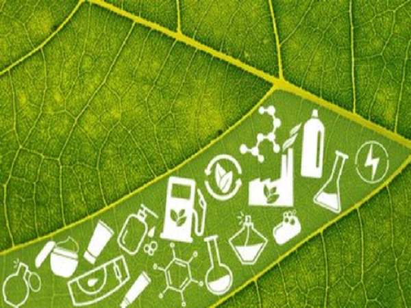 Mix-Up: Biobased Products for a Sustainable (Bio)economy