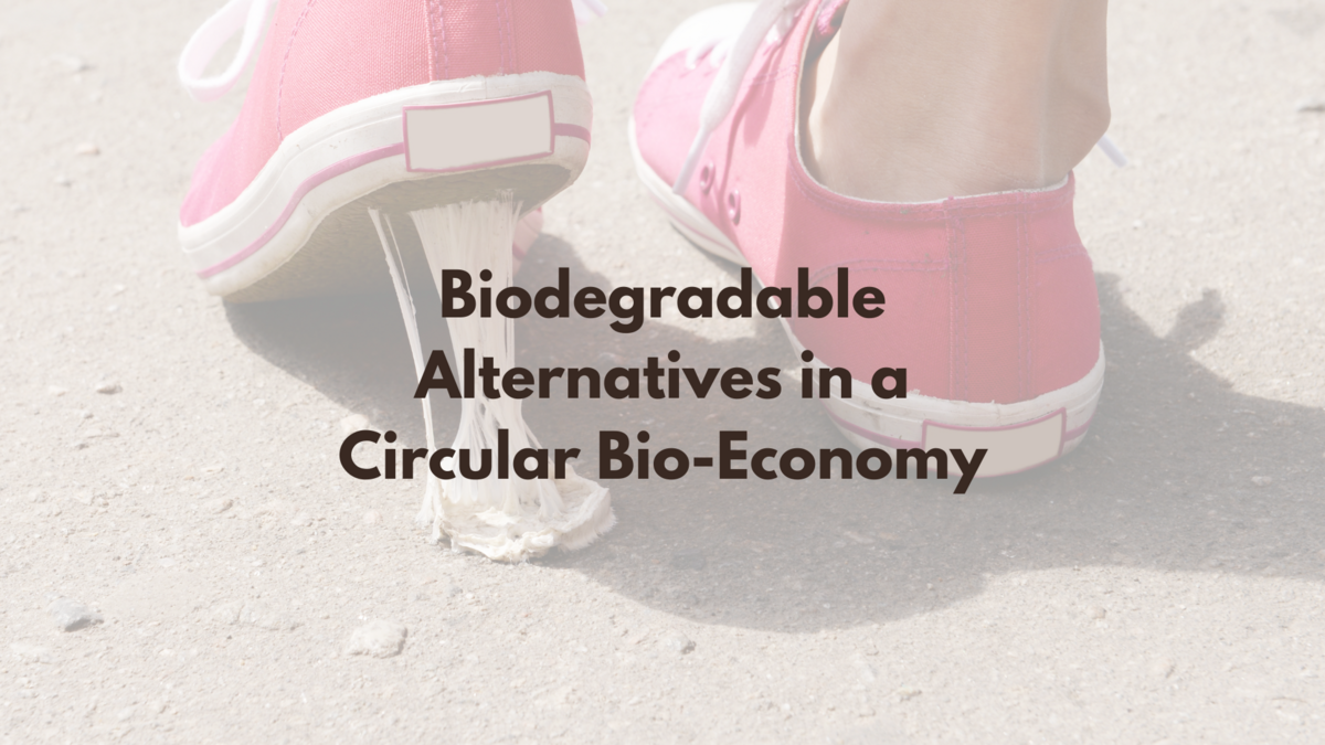 Mix-Up: The Role of Biodegradable Alternatives in a Circular Bio-Economy