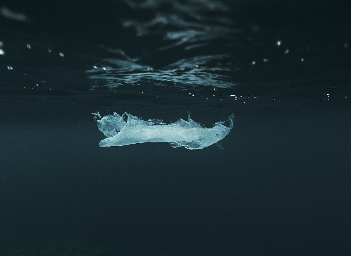 Mix-Up: Deep Sea Pollution: Microplastics Pollute the Seabed More Than ...