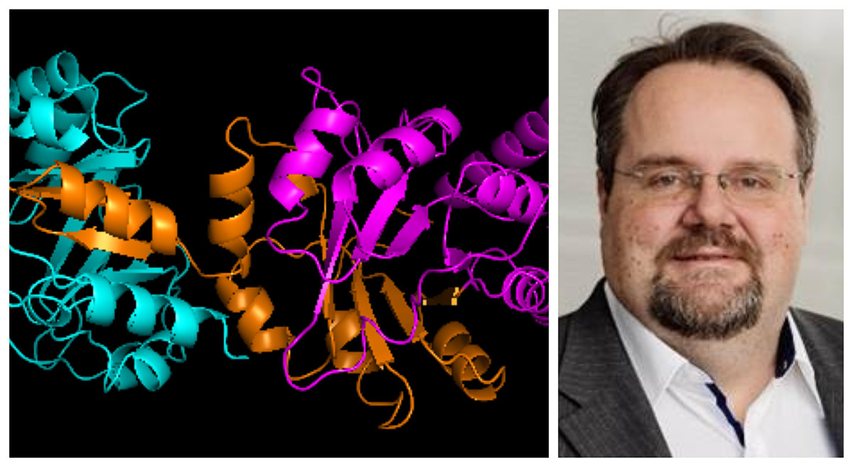 Mix-Up: "Without Enzymes Our Everyday Life Would Hardly Function"