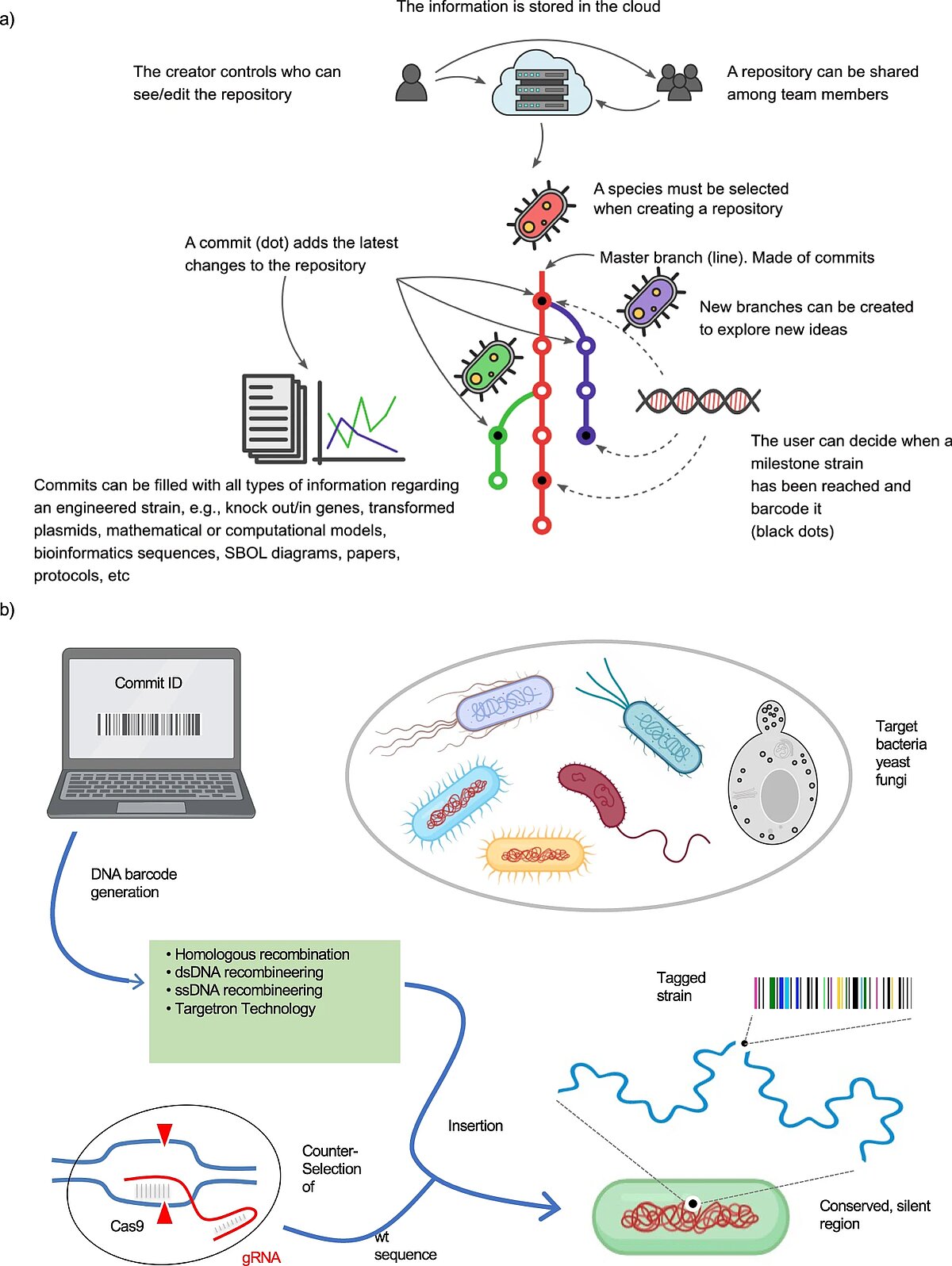 Mix-Up: Versioning biological cells for trustworthy cell engineering