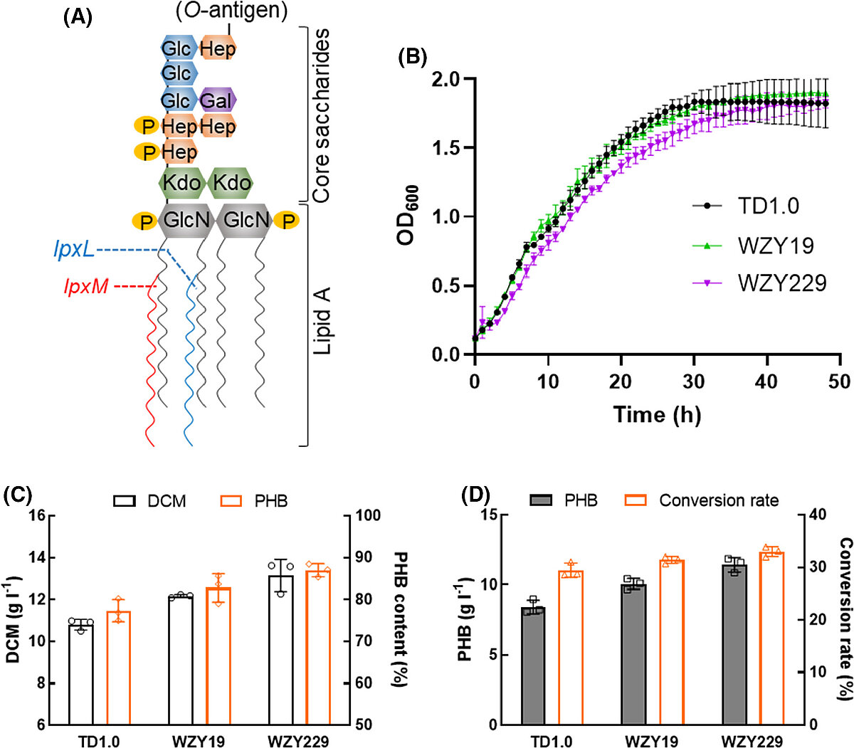 Mix-Up: Hyperproduction of PHA copolymers containing high fractions of ...