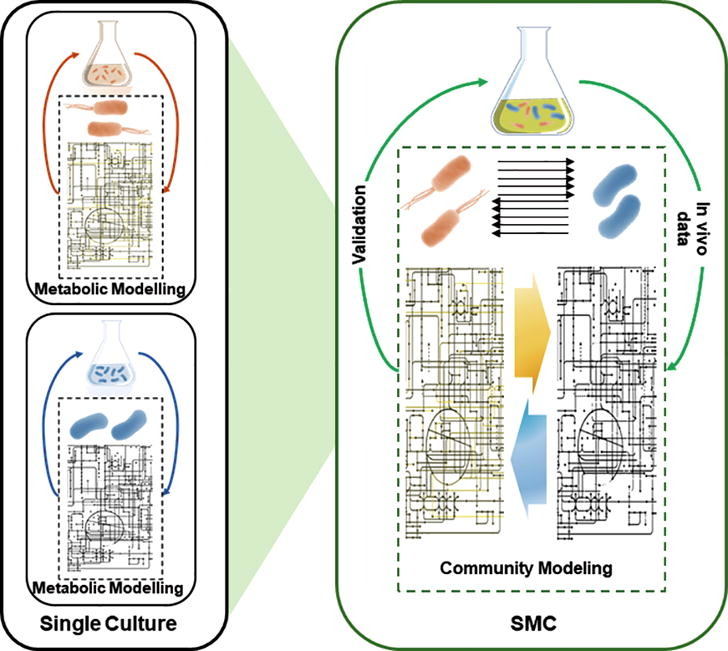 Mix-Up: Metabolic modelling approaches for describing and engineering ...