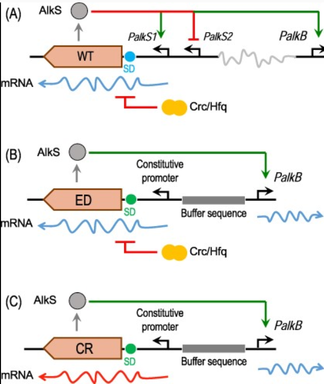 Mix-Up: New publication within MIX-UP!