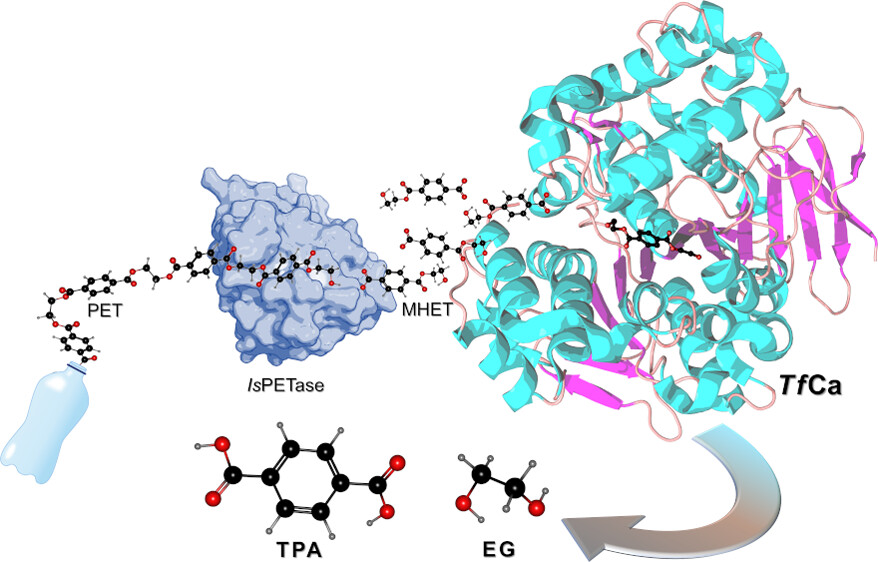 Mix-Up: New publication within MIX-UP!